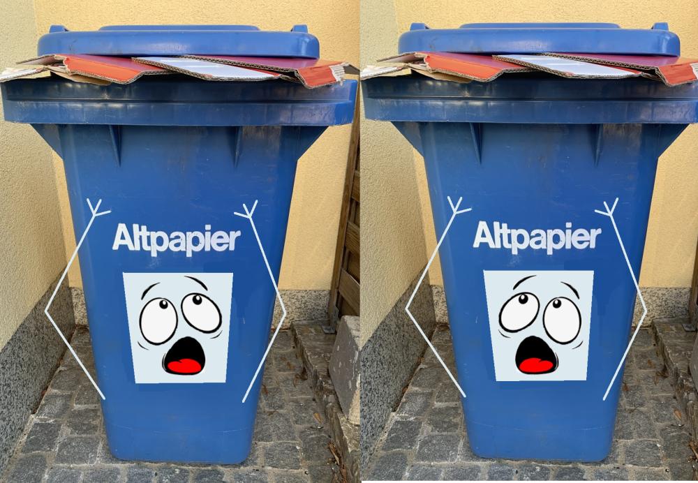 Leerung der Papiertonne gestoppt – was nun?