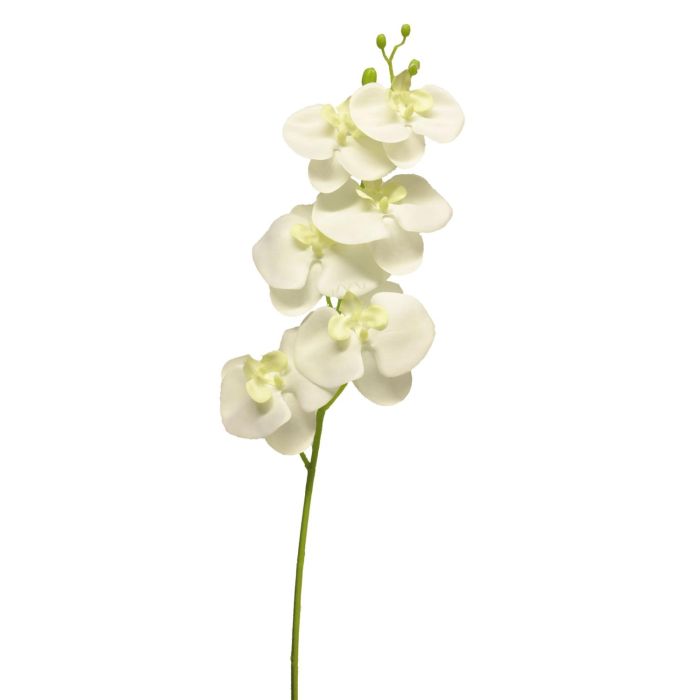 Kunstzweig Phalaenopsis Orchidee DANNA, weiß, 75cm