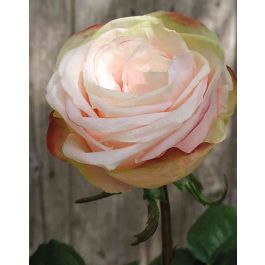 Kunst Rose RAPHAELA, rosa-grün, 50cm, Ø9cm