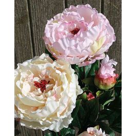 Künstliche Pfingstrose NADEEN, rosa-weiß, 75cm