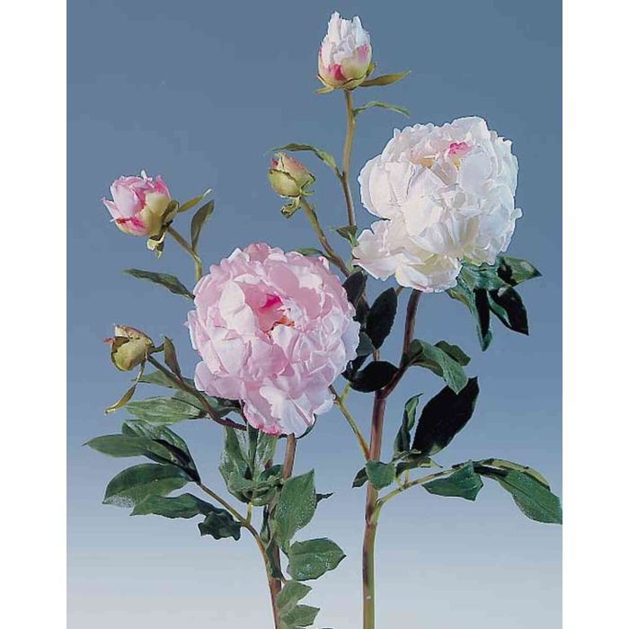 Kunst Pfingstrose MARA, weiß-rosa, 75cm, Ø13cm