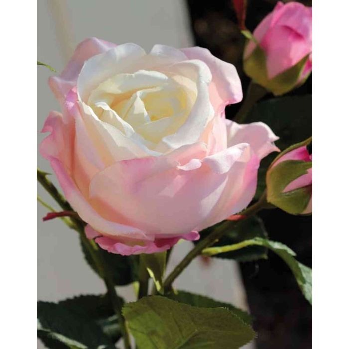 Kunst Rose KASSANDRA, rosa-creme, 80cm, Ø3-9cm