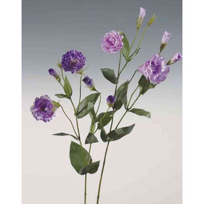 Künstlicher Lisianthus JEMO, violett-weiß, 65cm