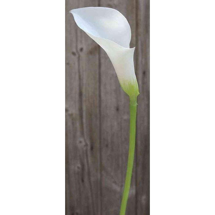 Kunst Zantedeschia EILEEN, weiß, 75cm