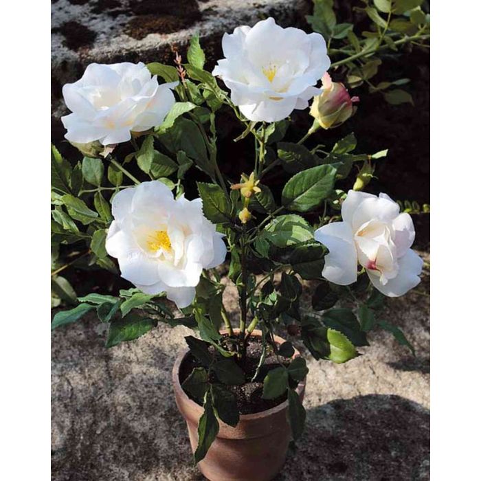 Kunst Wildrosen Busch UNDINE im Dekotopf, gelb, 45cm