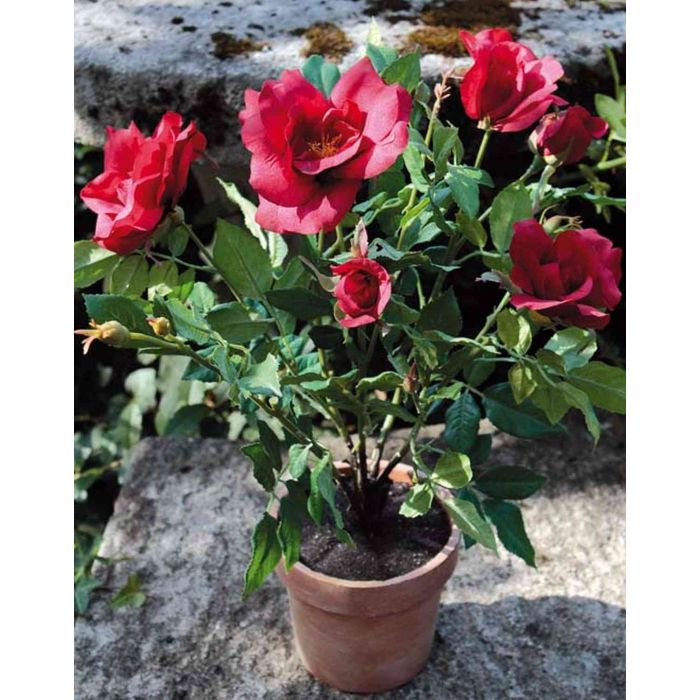 Kunst Wildrosen Busch UNDINE im Dekotopf, rot, 45cm