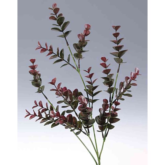Plastik Eukalyptus Zweig URANIA, burgunderrot-grün, 60cm
