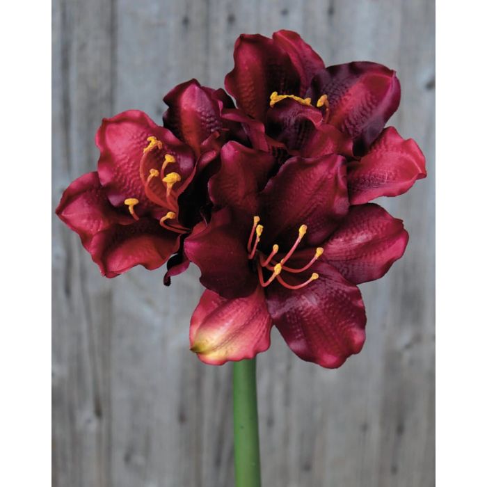 Kunst Amaryllis DARLA, rot, 65cm, Ø10-14cm