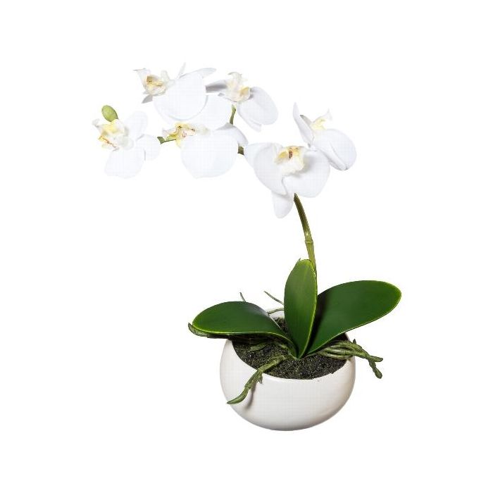 Kunst Phalaenopsis Orchidee ZEFANY, Keramikschale, Wurzeln, weiß, 23cm