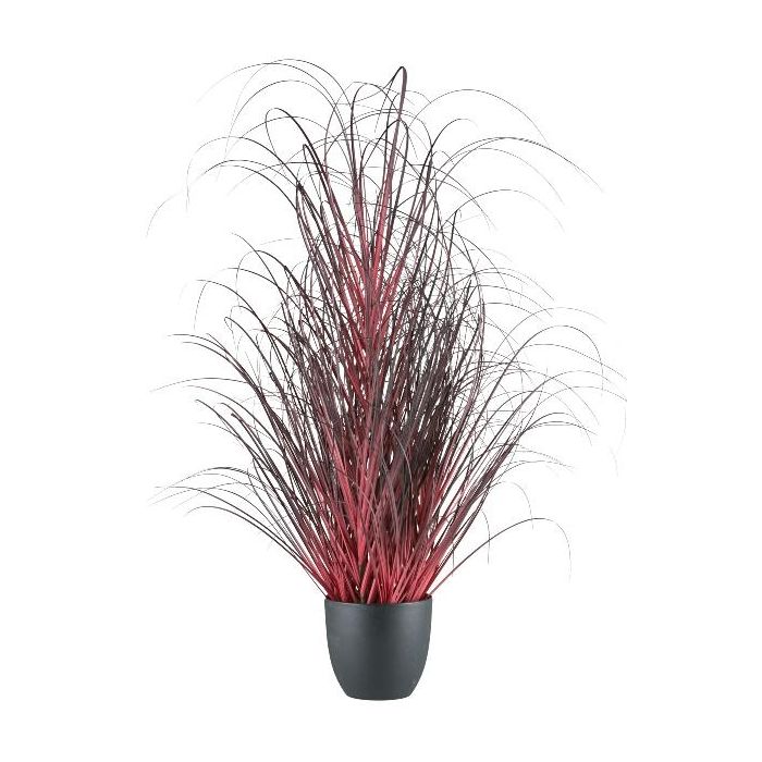 Kunst Afrikanisches Lampenputzergras TUNPA im Dekotopf, dunkelrot, 100cm