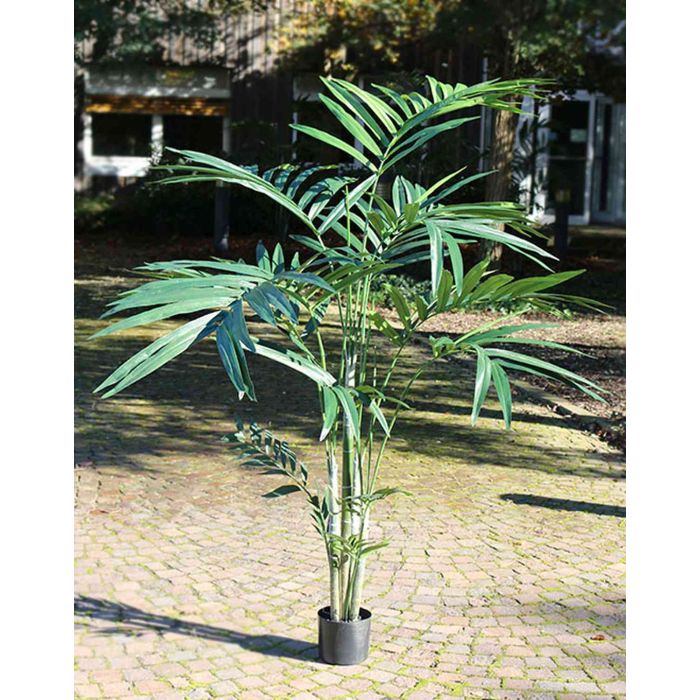 Kunst Kentia Palme EDDARD, 180cm