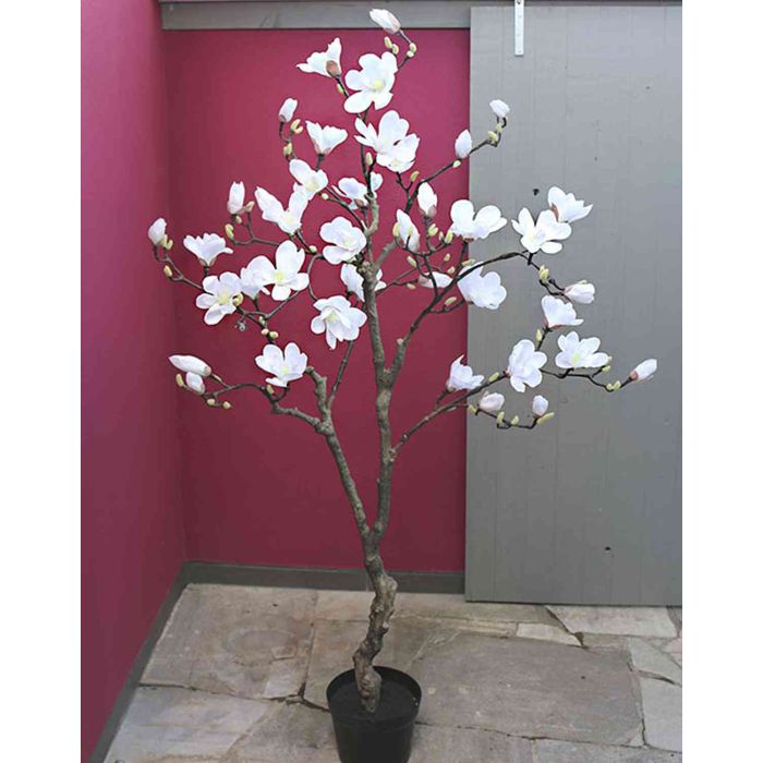 Kunst Magnolienbaum RALPH, Kunststamm, creme-weiß, 180cm