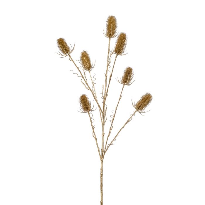 Kunststoff Wilde Karde TUDANCA, gold, 105cm