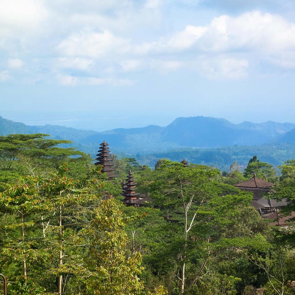 Mission Blumenkoffer: Bali