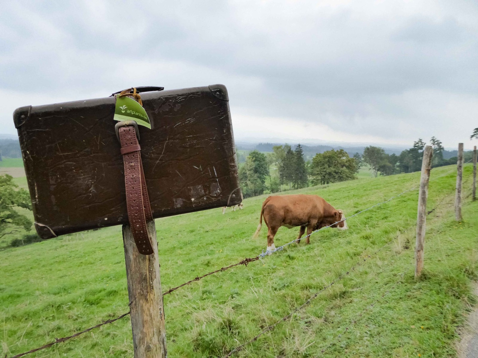 Der Blumenkoffer im Voralpenland